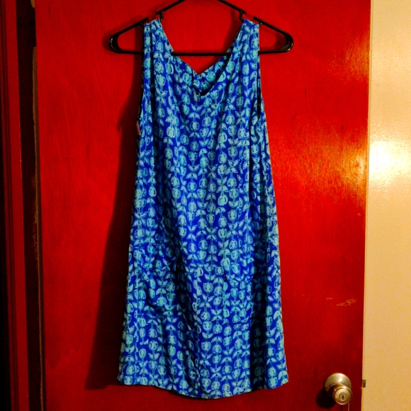 Blue Ginger | Dresses | Blue Ginger Sundress | Poshmark